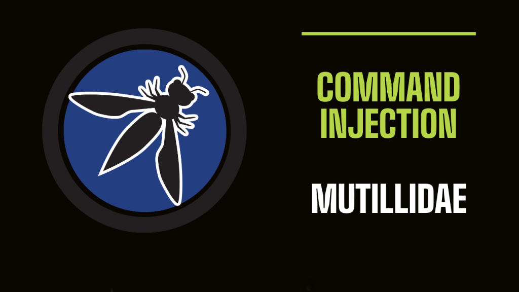 Command Injection Vulnerability Mutillidae Owasp Lab